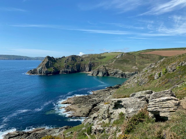 Start Point to Bolt Tail invertebrates | Devon Local Nature Recovery ...