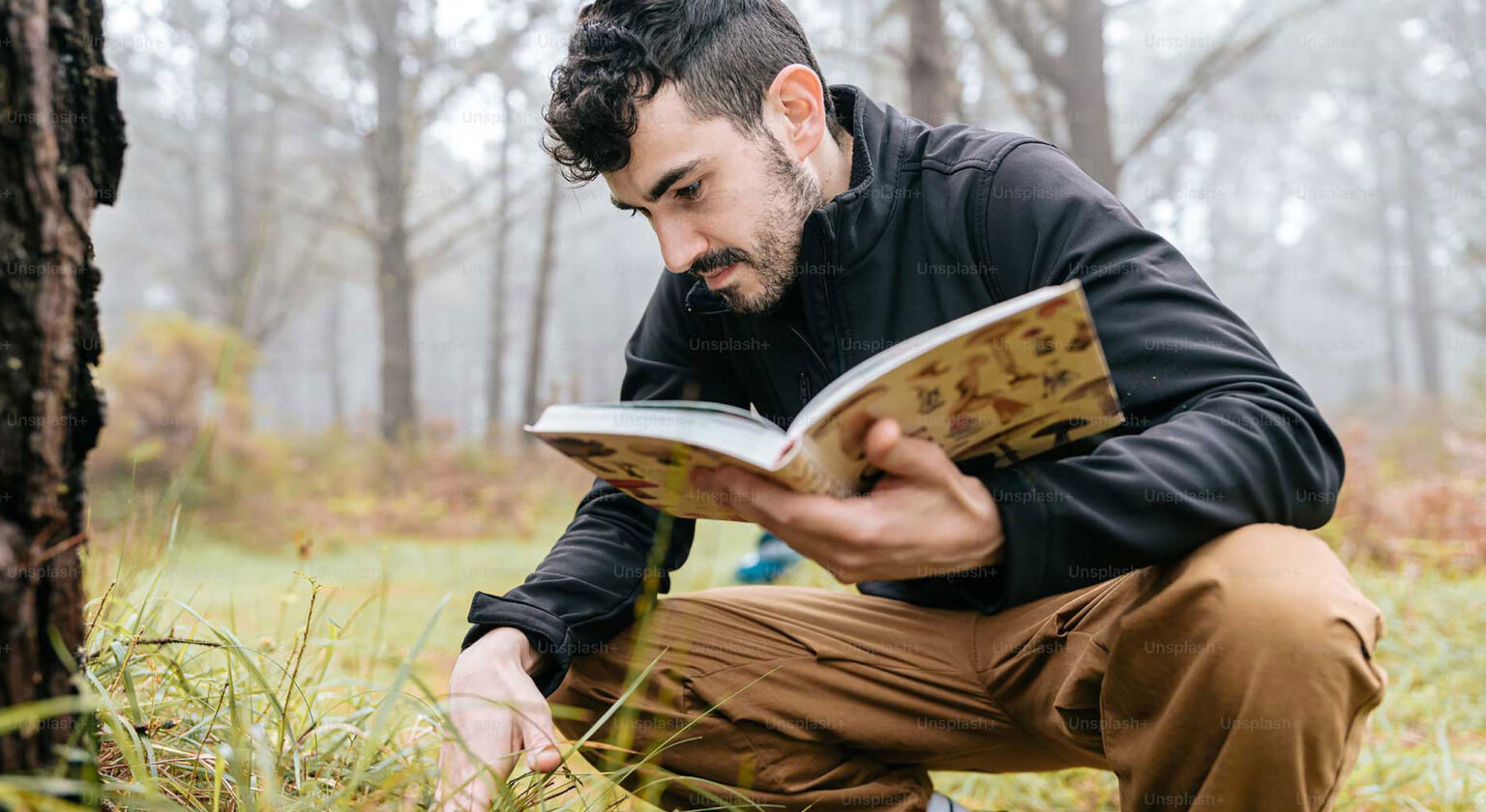 Devon Local Nature Recovery Strategy (LNRS) | Devon County Council