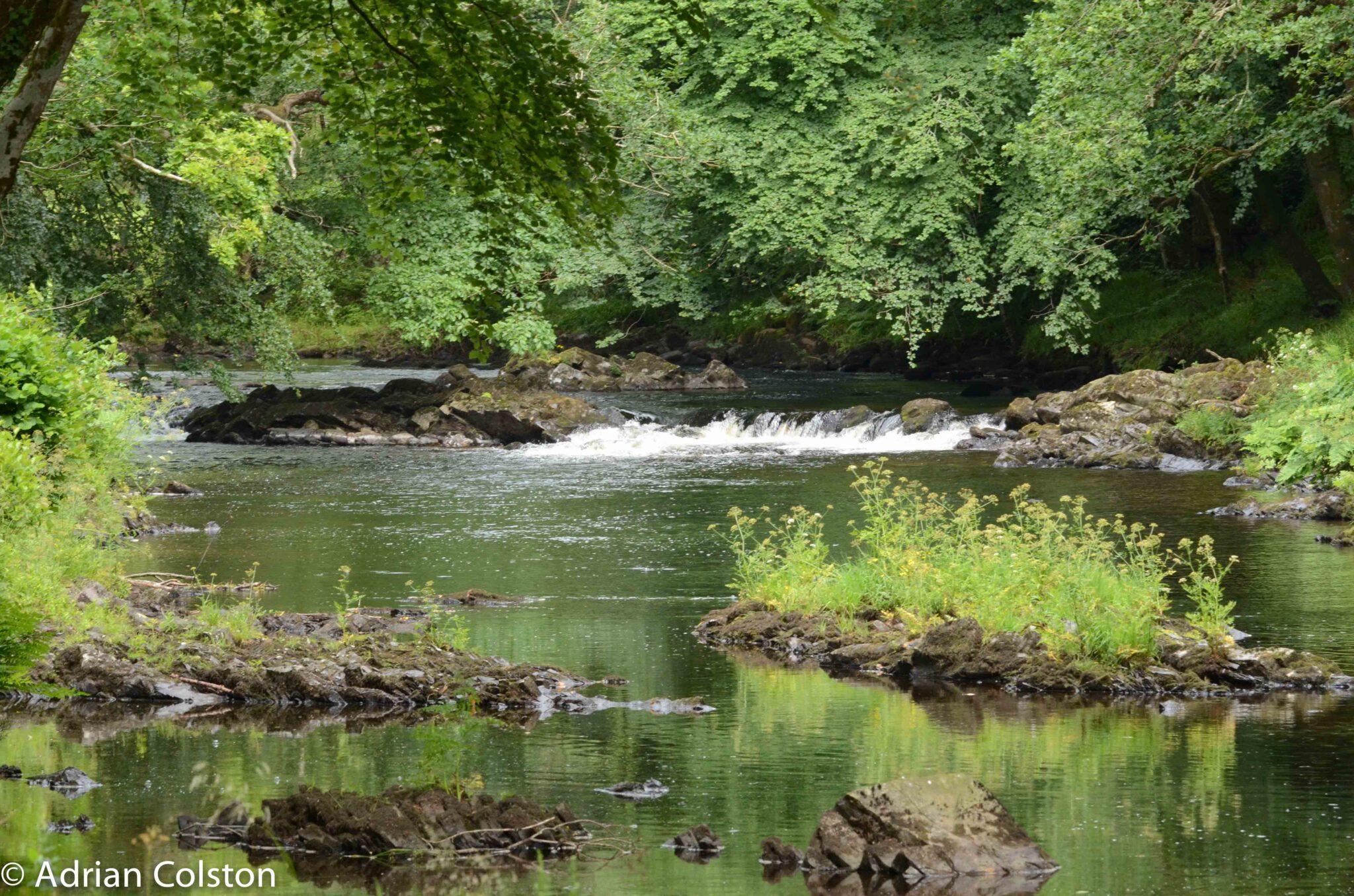 Watercourse corridors | Devon Local Nature Recovery Strategy (LNRS ...