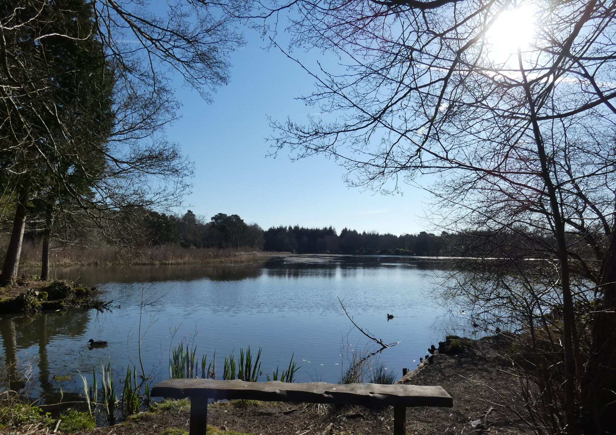 Lakes and ponds | Devon Local Nature Recovery Strategy (LNRS) | Devon ...