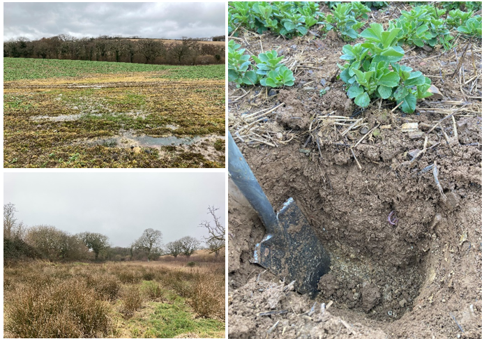 Rocks and soils | Devon Local Nature Recovery Strategy (LNRS) | Devon ...