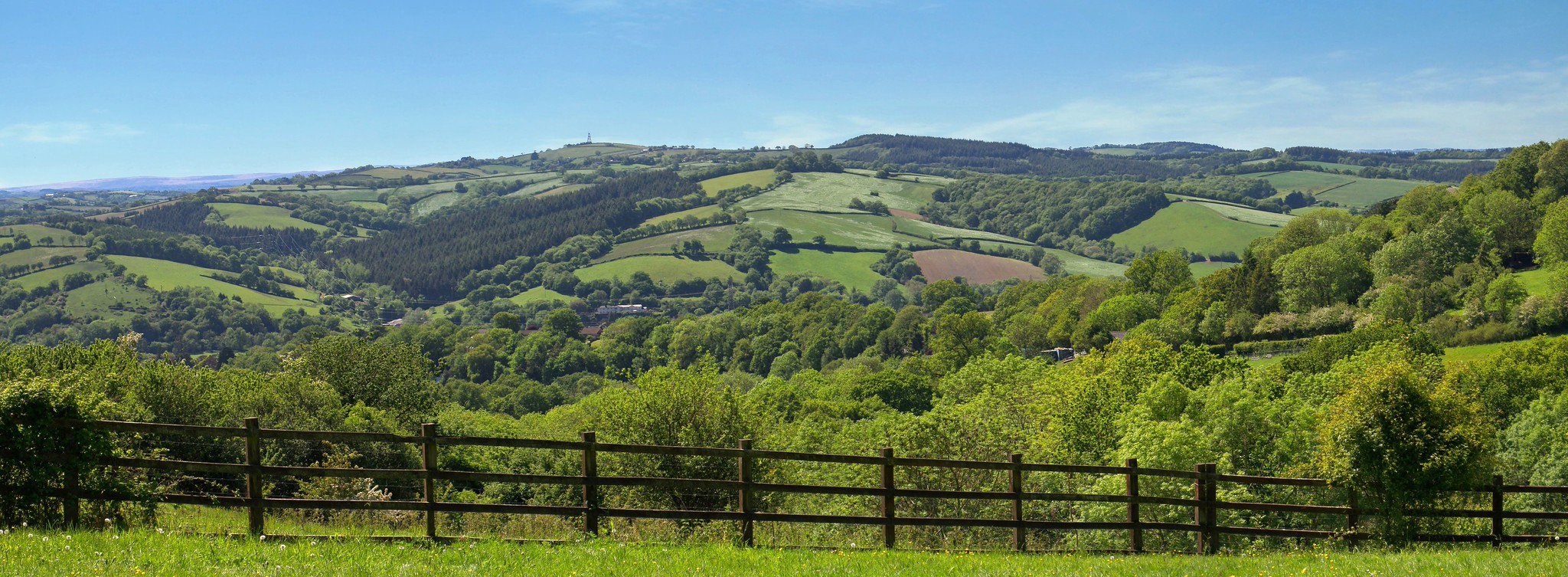 Terrestrial mammals | Devon Local Nature Recovery Strategy (LNRS ...