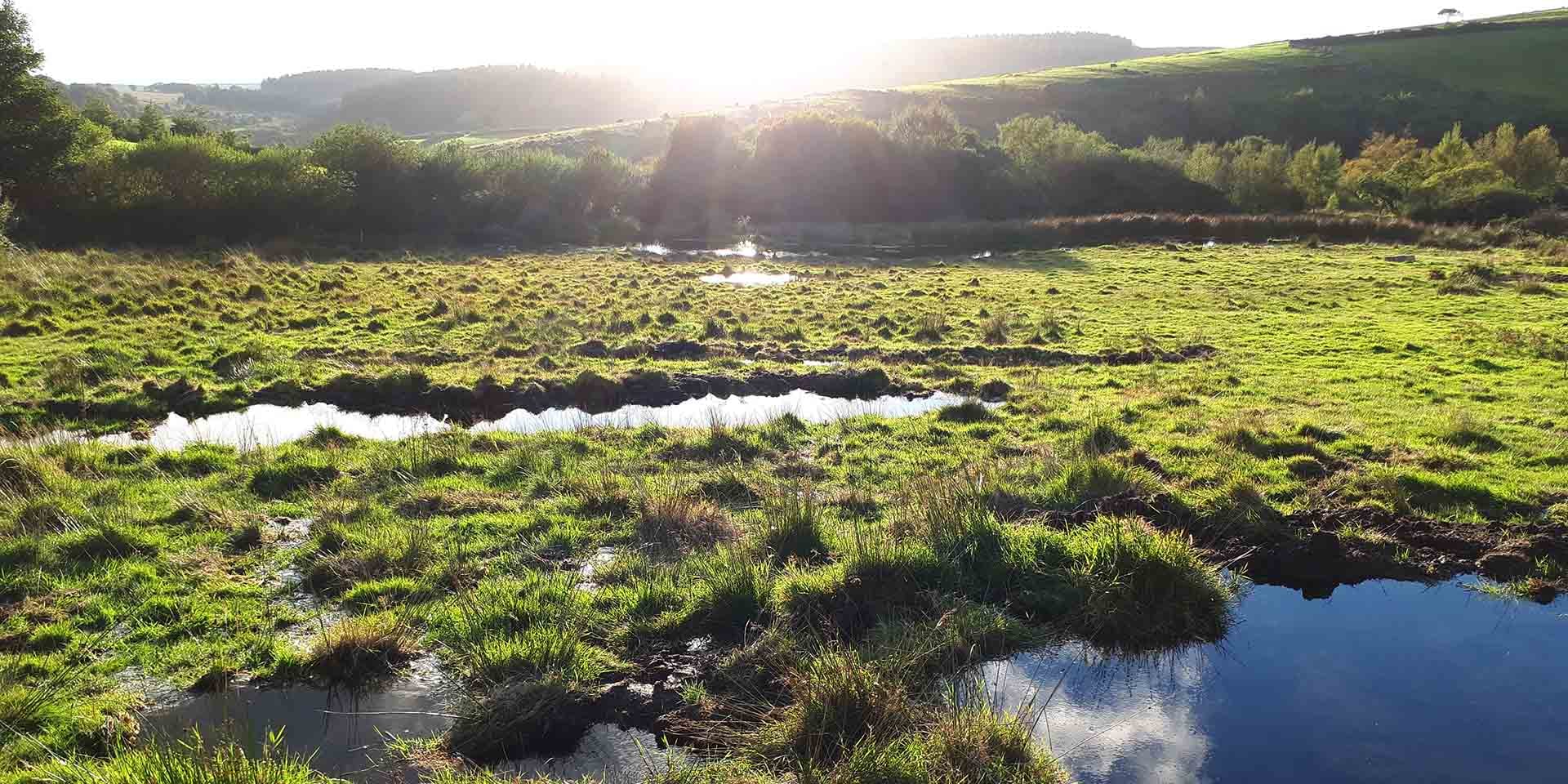 Water quality and flood risk | Devon Local Nature Recovery Strategy ...