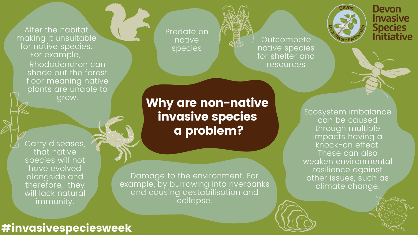 Invasive non-native species | Devon Local Nature Recovery Strategy ...